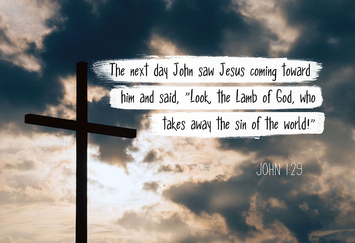 Bible Verse John 1 29