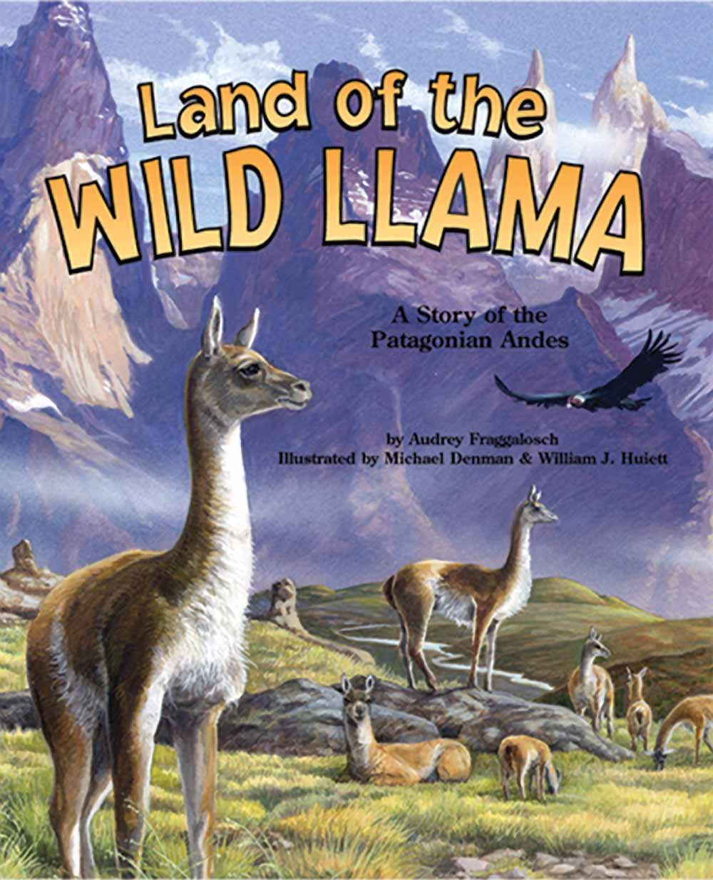 Land of the Wild Llama: A Story of the Patagonian Andes (Soundprints ...