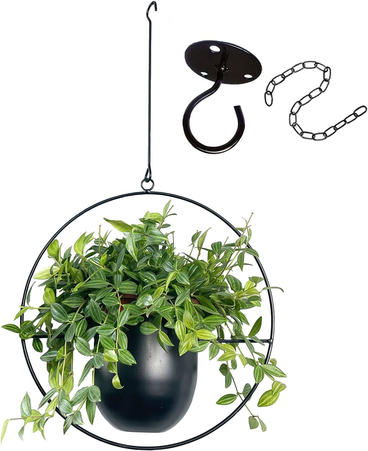 Umbra Bolo Wall and Ceiling Planter – Hanging Flower Pot Plant Holder ...