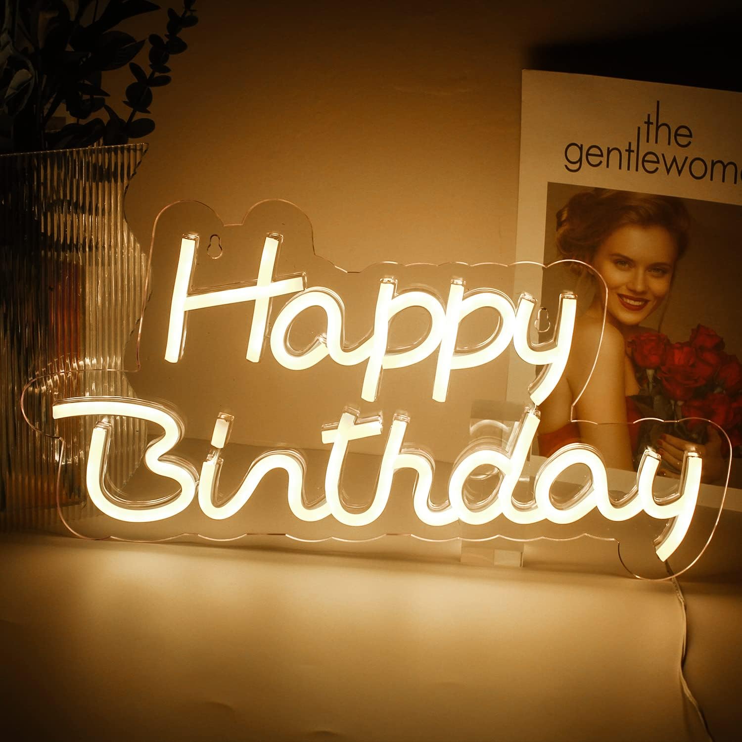 Amazon.com : ineonlife Happy Birthday Neon Sign Warm White Led Signs ...