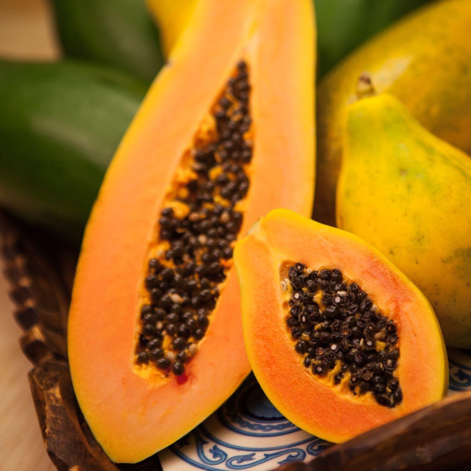 Amazon.com : 3 Pack x 150 Seeds - Mexican Papaya Seeds - Papaya de ...