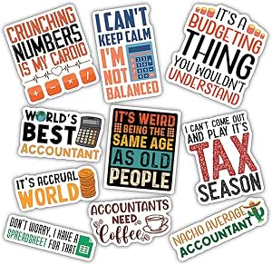 Amazon.com: 10pcs Accountant Sticker Sheet, Funny Vinyl Decals for CPAS ...