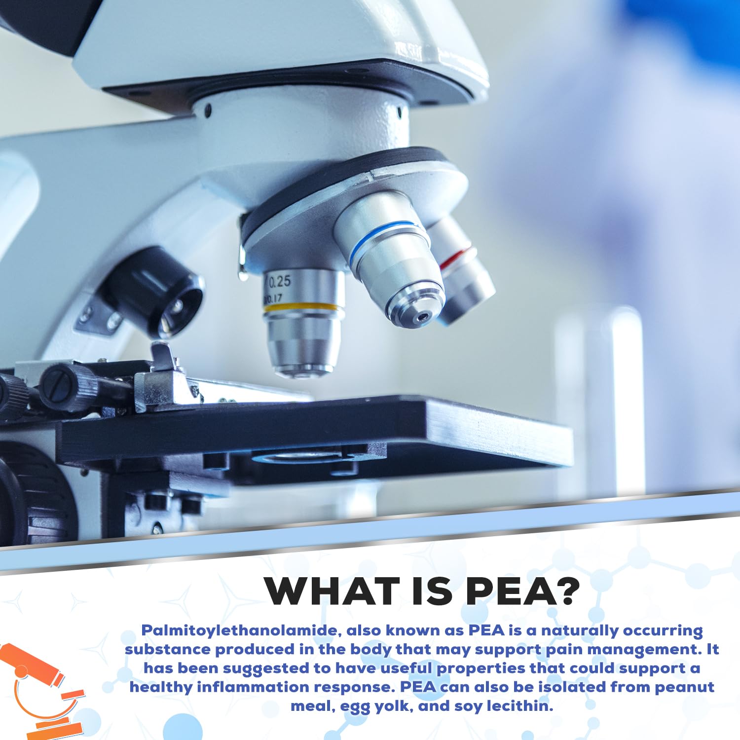 Snapklik.com : Palmitoylethanolamide Capsules Pea 400mg 180 Pill Count ...