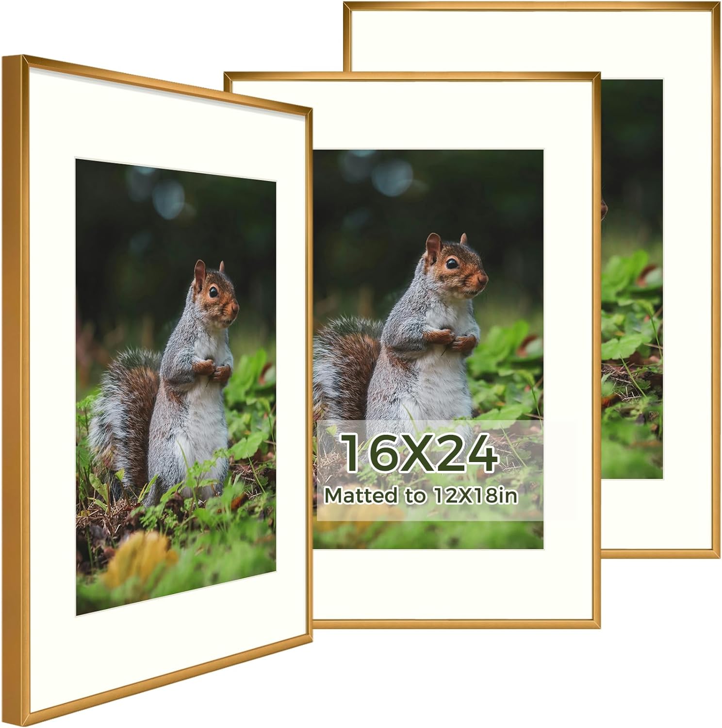 Amazon.com - Golden State Art - 16x24 Metal Picture Frames with Mat - Display 12x18 Photo or ...