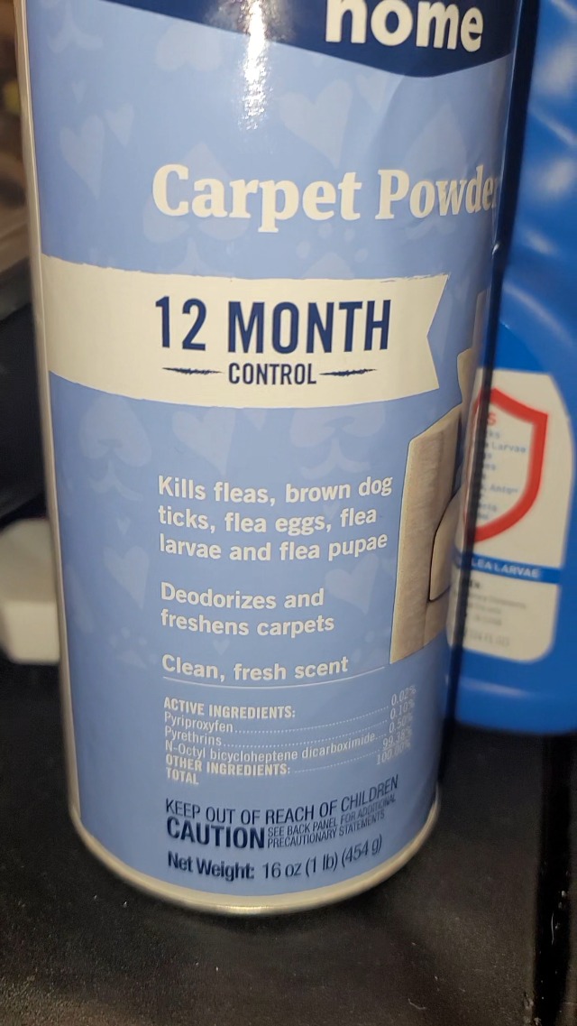 Watch Carpet powder 12 month control on Amazon Live