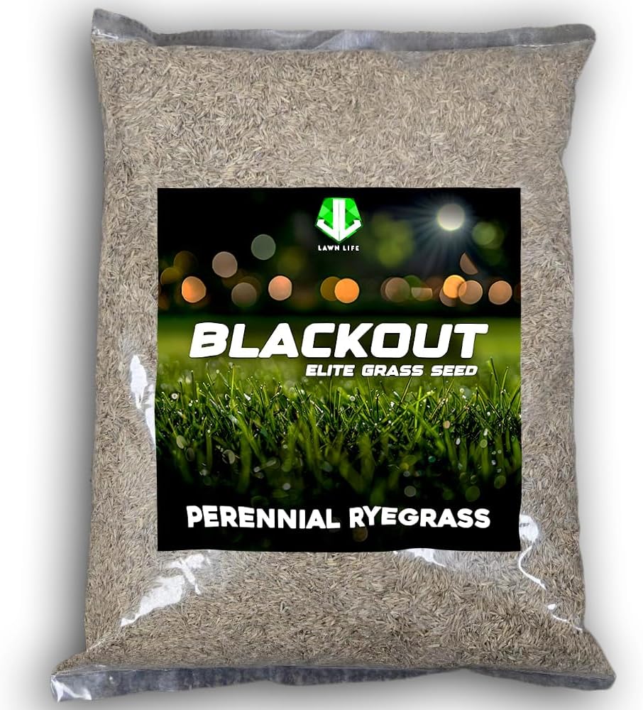 Amazon.com : Blackout Perennial Ryegrass Grass Seed - Fireball and ...
