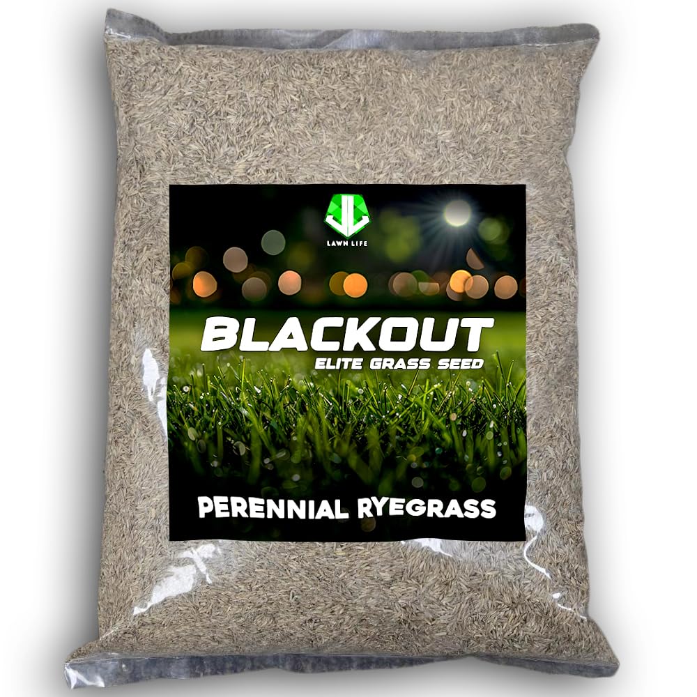 Amazon.com : Blackout Perennial Ryegrass Grass Seed - Fireball and ...