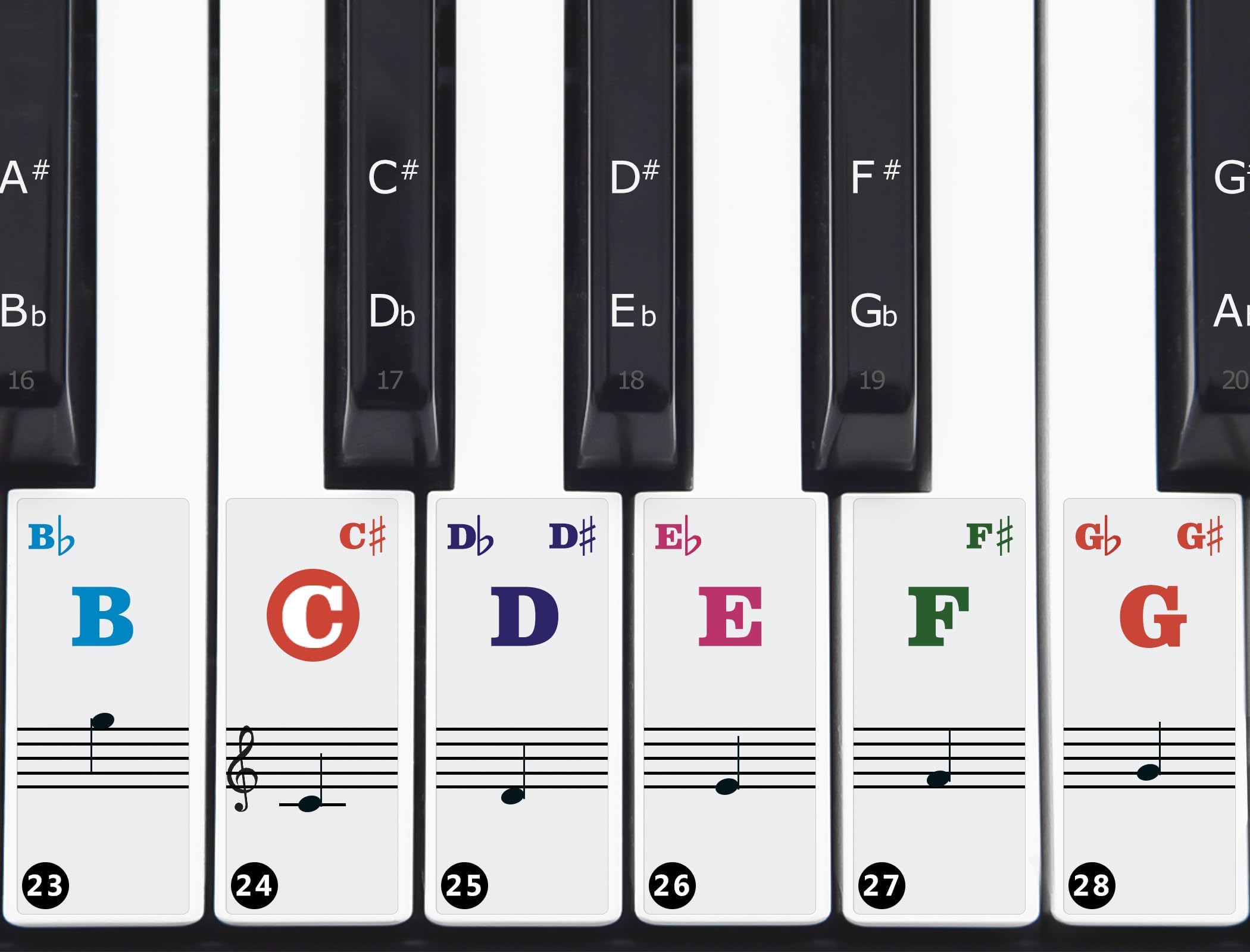 Amazon.com: Piano Keyboard Stickers for 88/61/54/49/37 Key, Bold Large ...