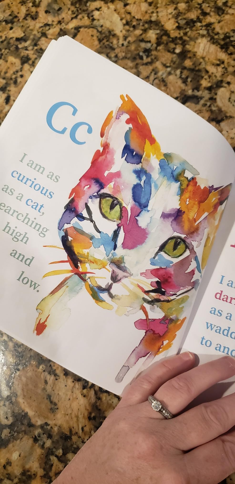 Amazon.com: Animals, ABCs and Me: an alphabetical affirmation book ...