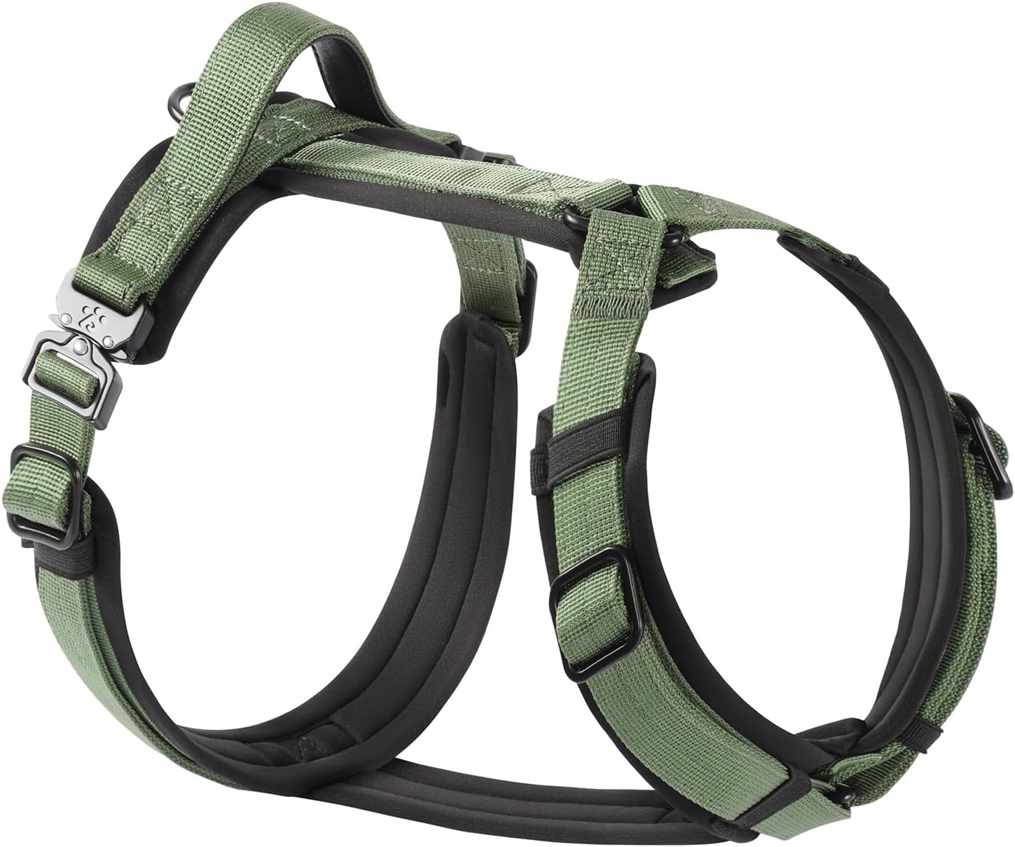 Amazon.com : PawsPassion Dog Harness for Small Dogs, Chew-Proof Metal ...