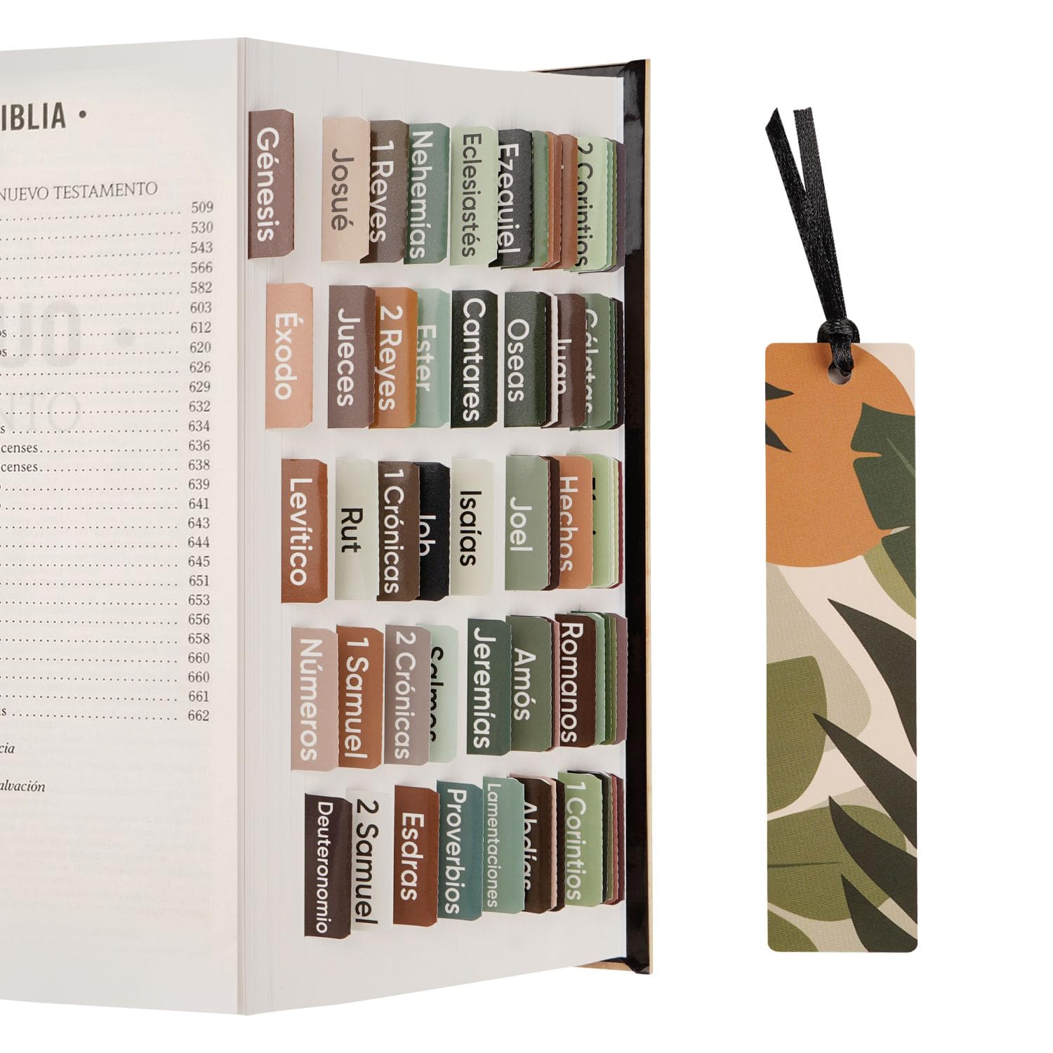 Snapklik.com : Spanish Bible Tabs For Women And Men, Separadores De Biblia En Espaol, Earthy ...
