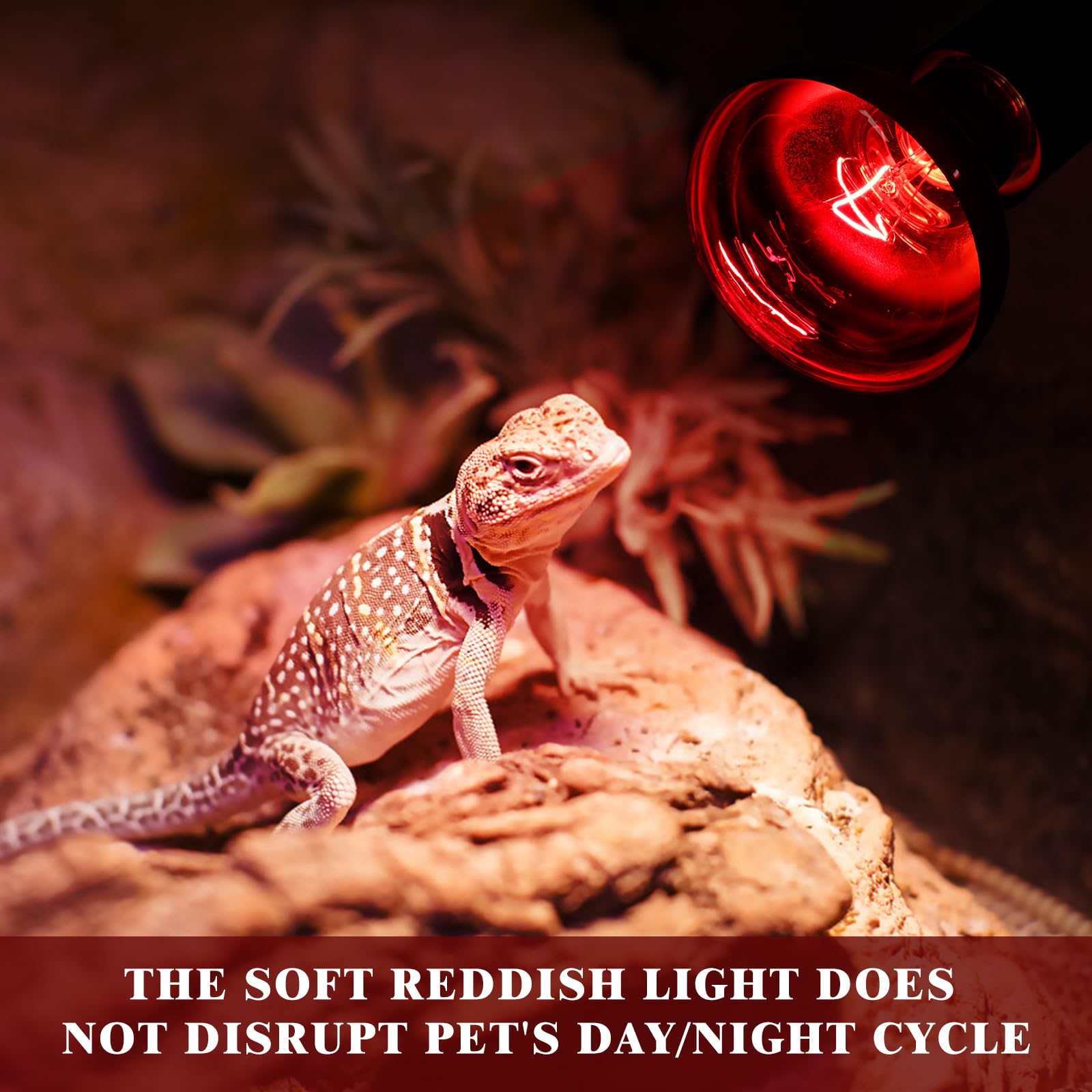 Snapklik.com : Reptile Heat Lamp,100W Red Basking Spot Lamp Bulb For ...