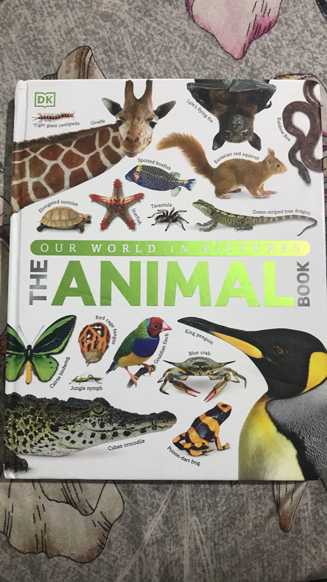 The Animal Book: A Visual Encyclopedia of Life on Earth : Burnie, David ...