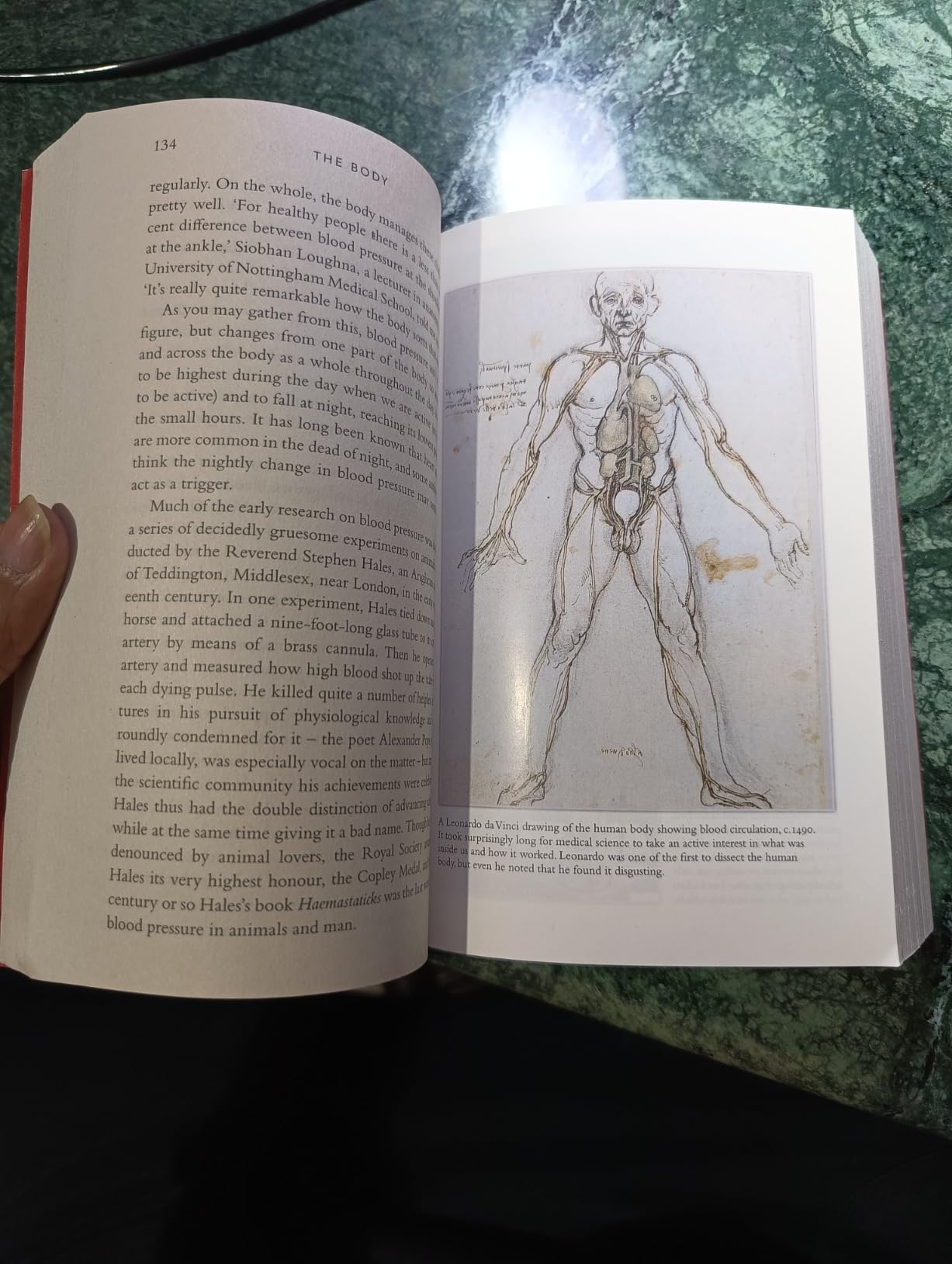 Buy Body, The (HB) Book Online at Low Prices in India | Body, The (HB ...