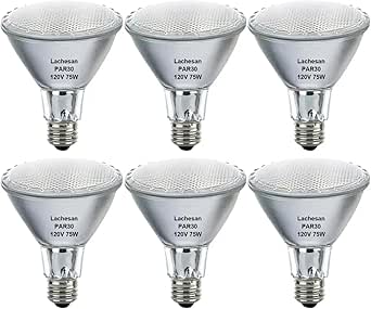 Lachesan Par30 Long Neck Halogen Flood Light Bulbs 6pcs, 75W Equivalent ...