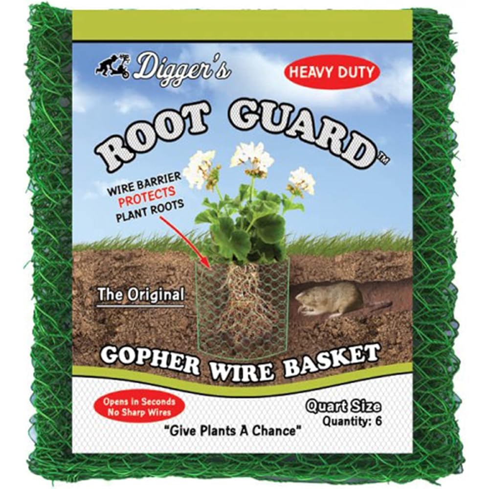 $9/mo - Finance Digger’s 1-Quart Heavy-Duty Wire Baskets for Plants ...