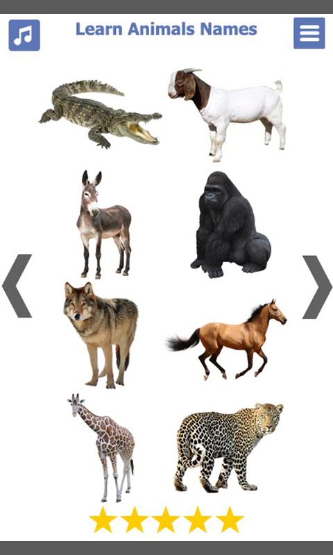 Animal Sounds And Names Animals And Their Sounds Flashcards Learning