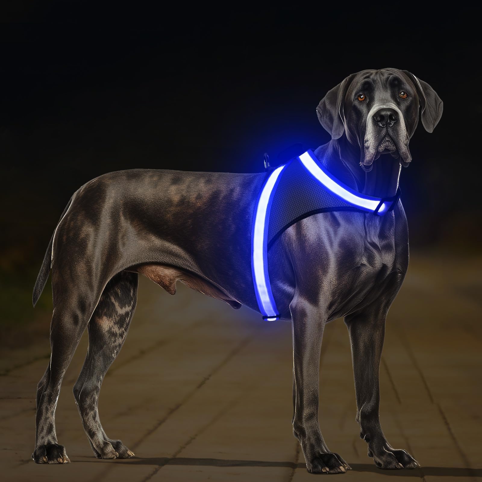Amazon.com : ChalkLit Light Up Dog Harness, No Pull Led Dog Harness ...