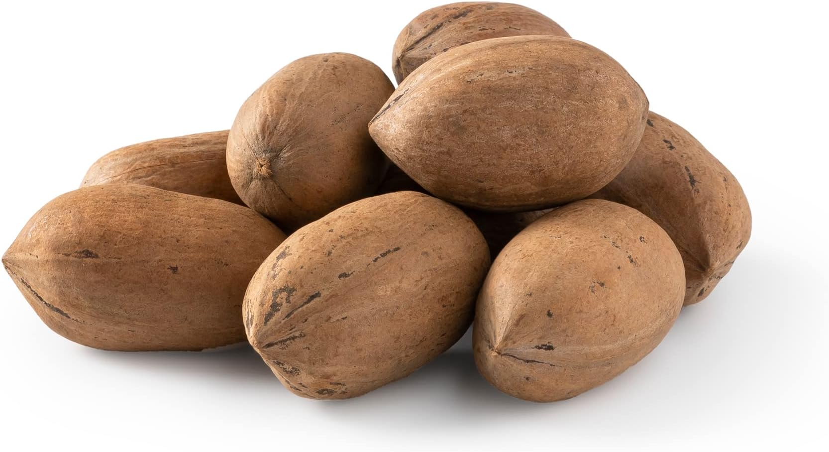 Amazon.com : In-Shell Georgia Pecans 5 lb : Grocery & Gourmet Food