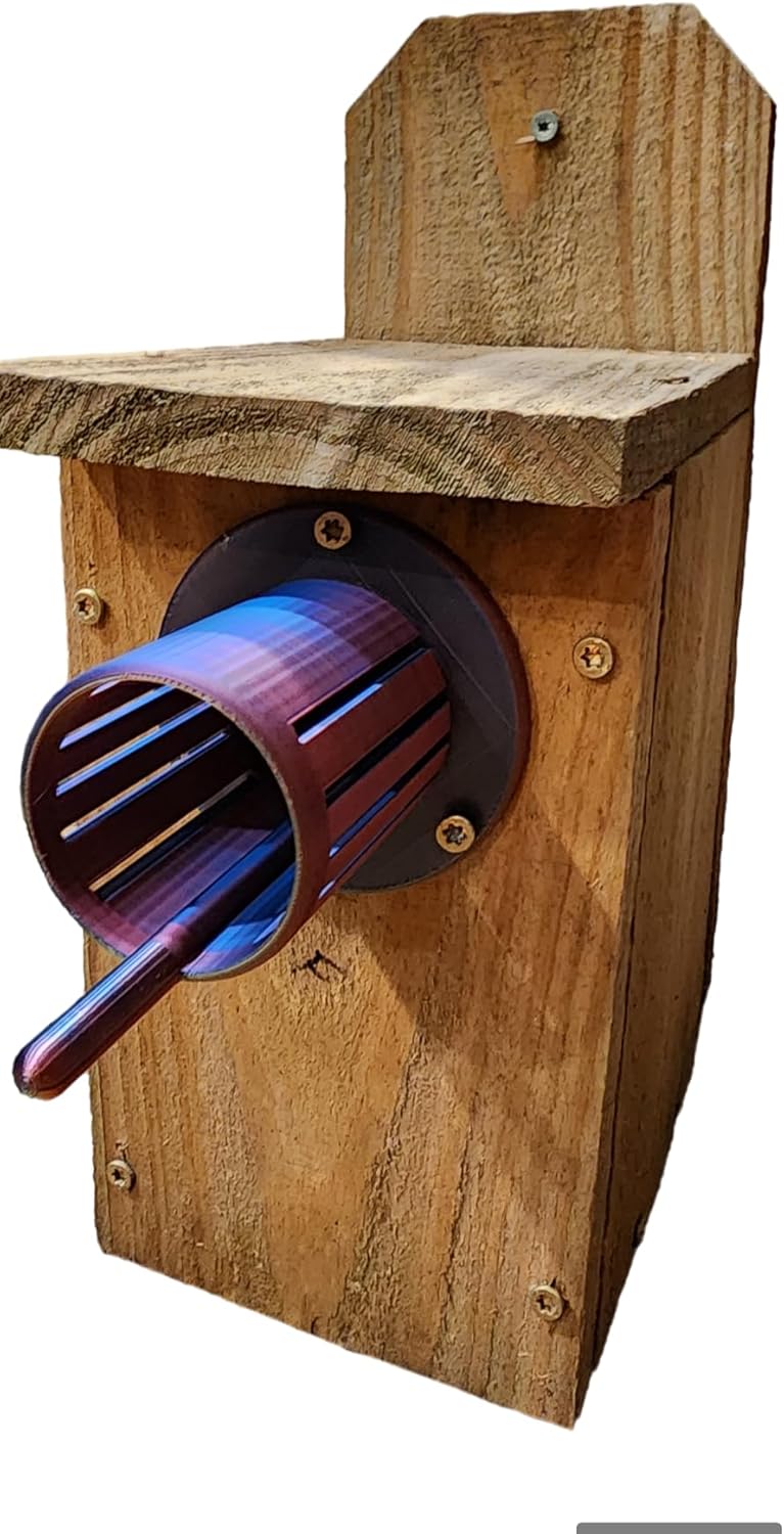 Amazon.com: Bluebird Birdhouse Predator Protector Guard (Moden ...