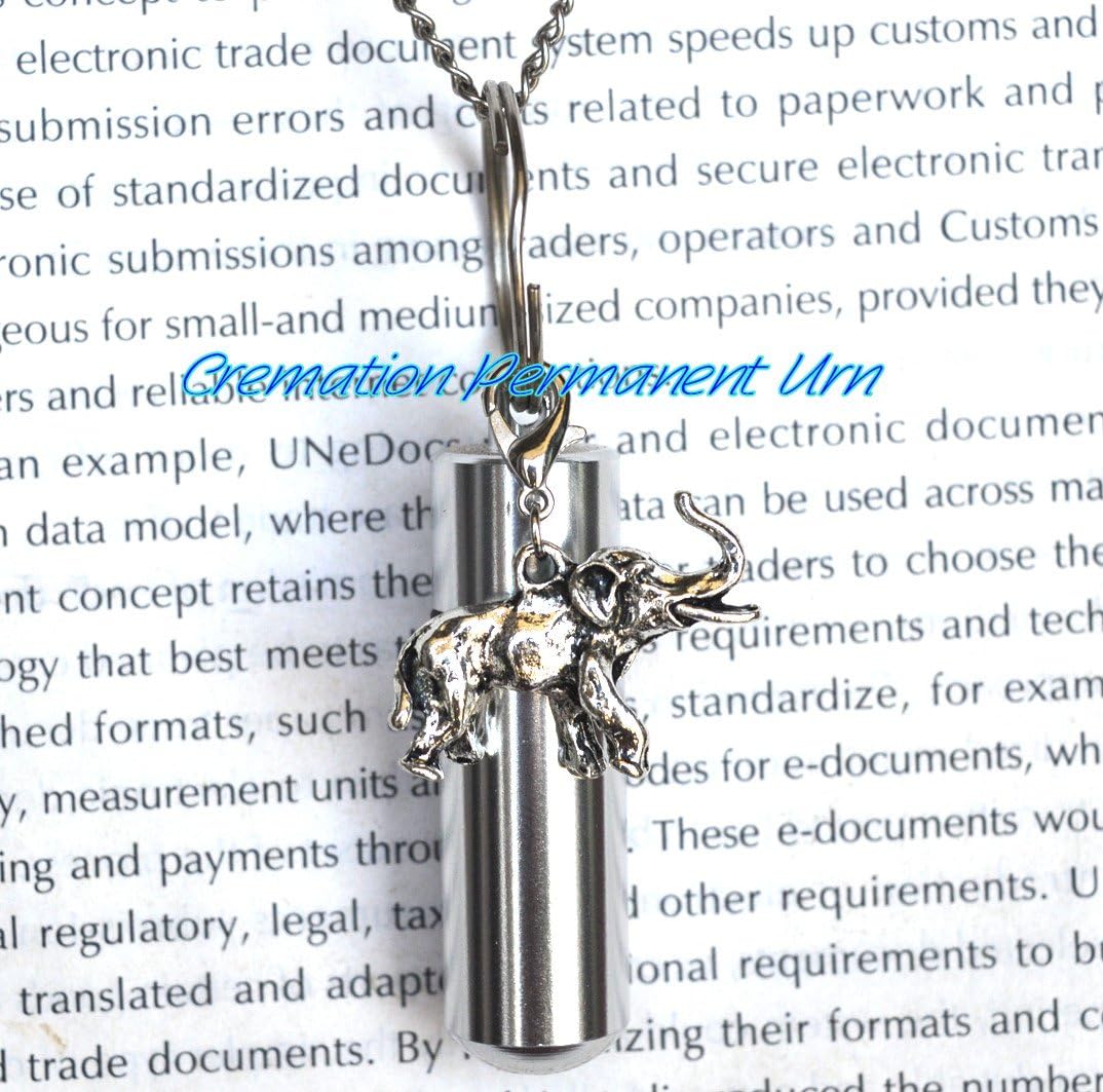 Amazon.com: Elephant Cremation Locket, Perfume Vial, Ashes Locket ...