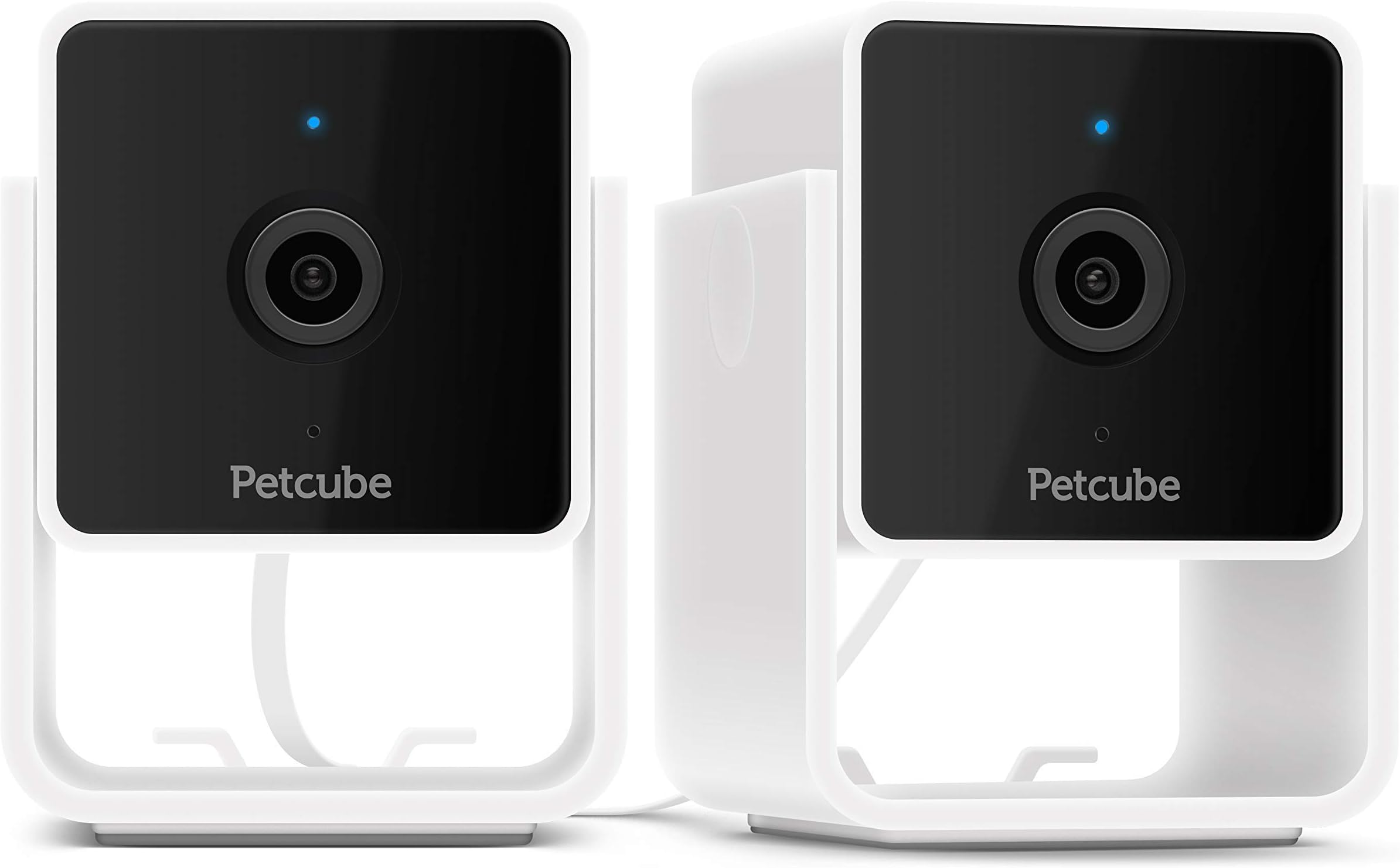Amazon.com: Petcube Bites 2 Wi-Fi Pet Camera with Treat Dispenser ...