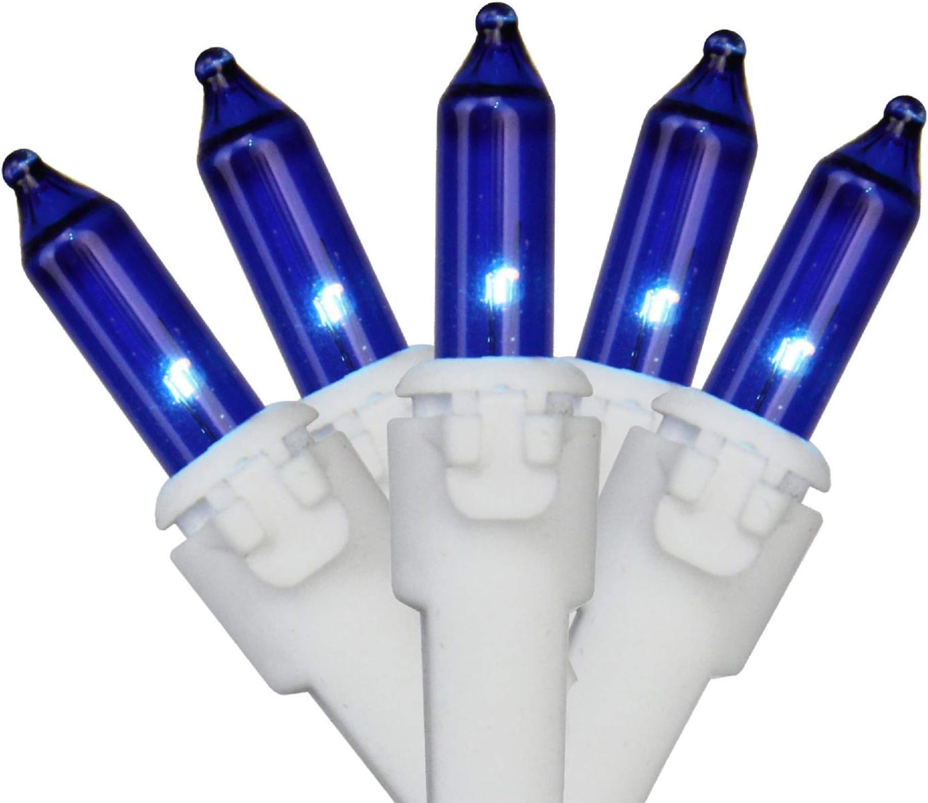 Amazon.com: Northlight Set of 100 Blue & Clear Mini Christmas Lights 2. ...