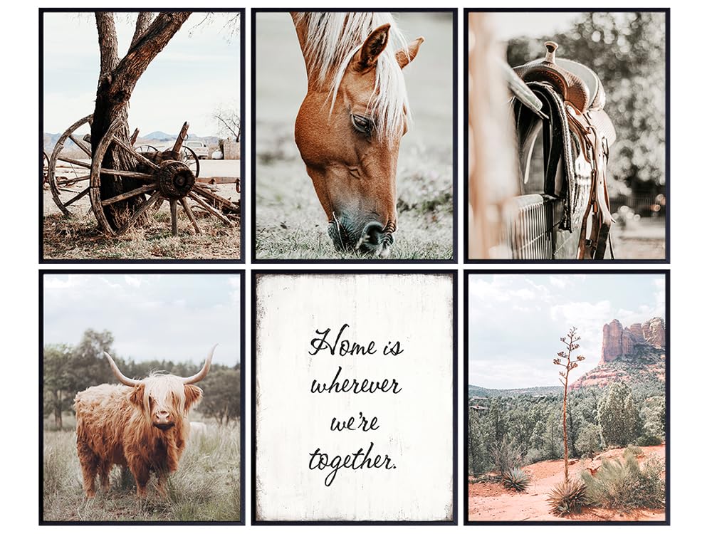Amazon.com: Rustic Farmhouse Wall Decor - Boho Wall Art - Western Wall ...