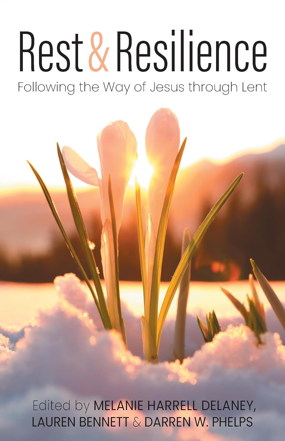 Rest and Resilience: Following the Way of Jesus through Lent - Kindle ...