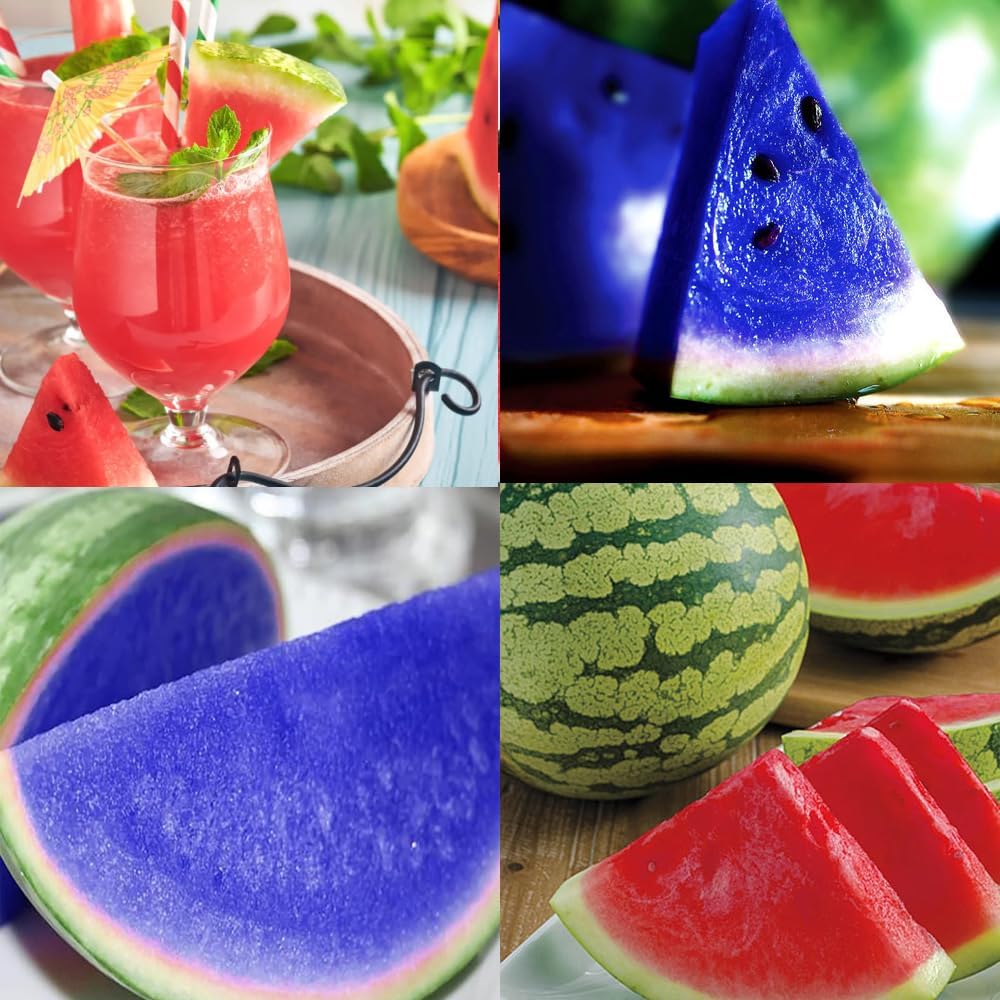 Amazon.com : 100+ Rare Watermelon Seeds for Planting Outdoor- Non-GMO ...