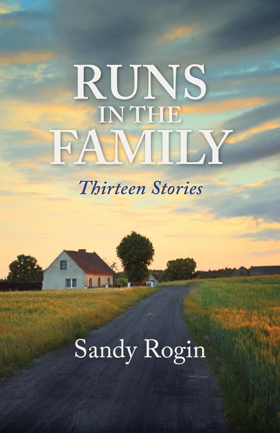 Runs in the Family: Thirteen Stories - Kindle edition by Rogin, Sandy ...