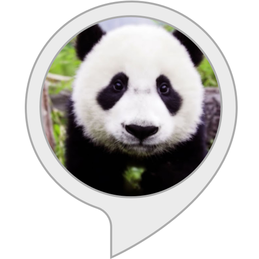 Amazon.co.uk: panda facts : Alexa Skills