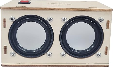 Amazon.com: STEM Projects for Kids & Adults Build Your Own Bluetooth Speaker - Science ...