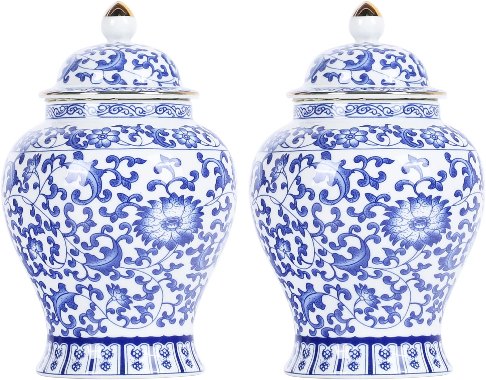 Amazon.com: Magcolor Decorative Creative Blue and White Ceramic Ginger ...