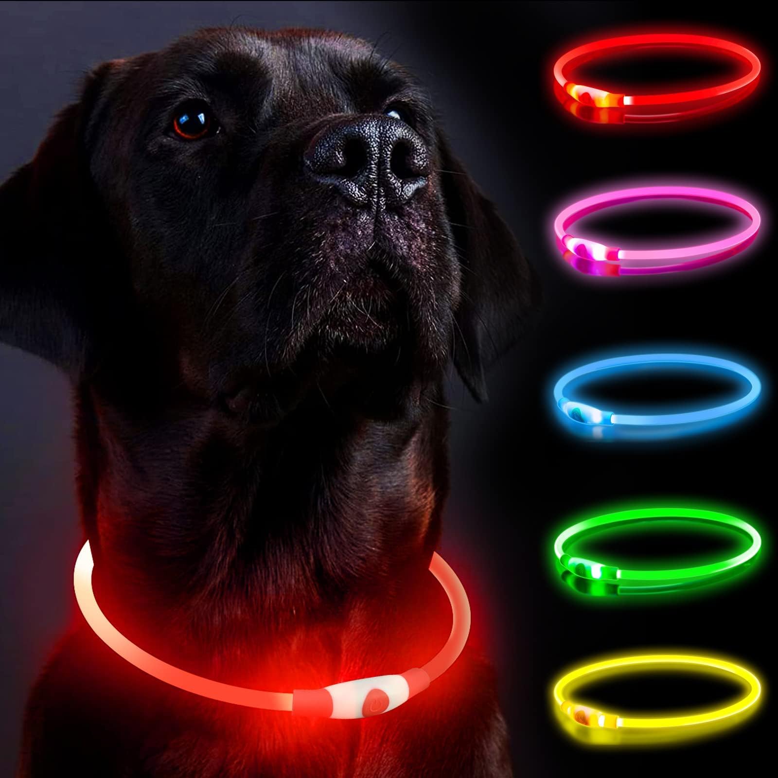 Light Up Dog Collar for The Dark, Dog Collar Light with USB ...