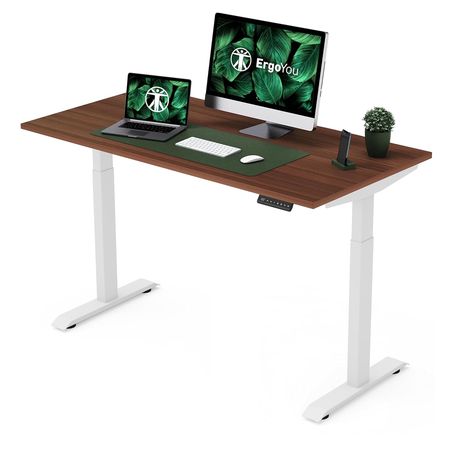 ErgoYou - Premium Electric Height Adjustable Standing Table 59 x 29.5 ...