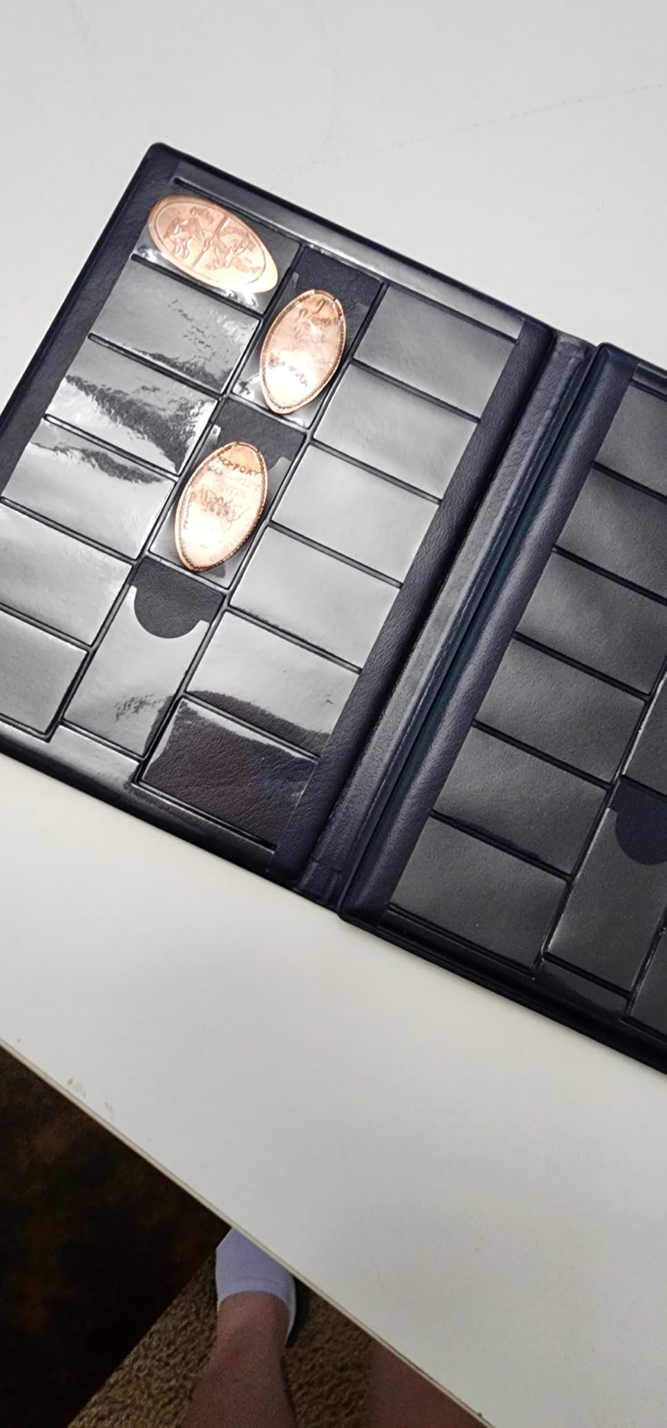 Amazon.com: Pennybandz Penny Postcard Tri-Fold Pressed Penny Collector ...