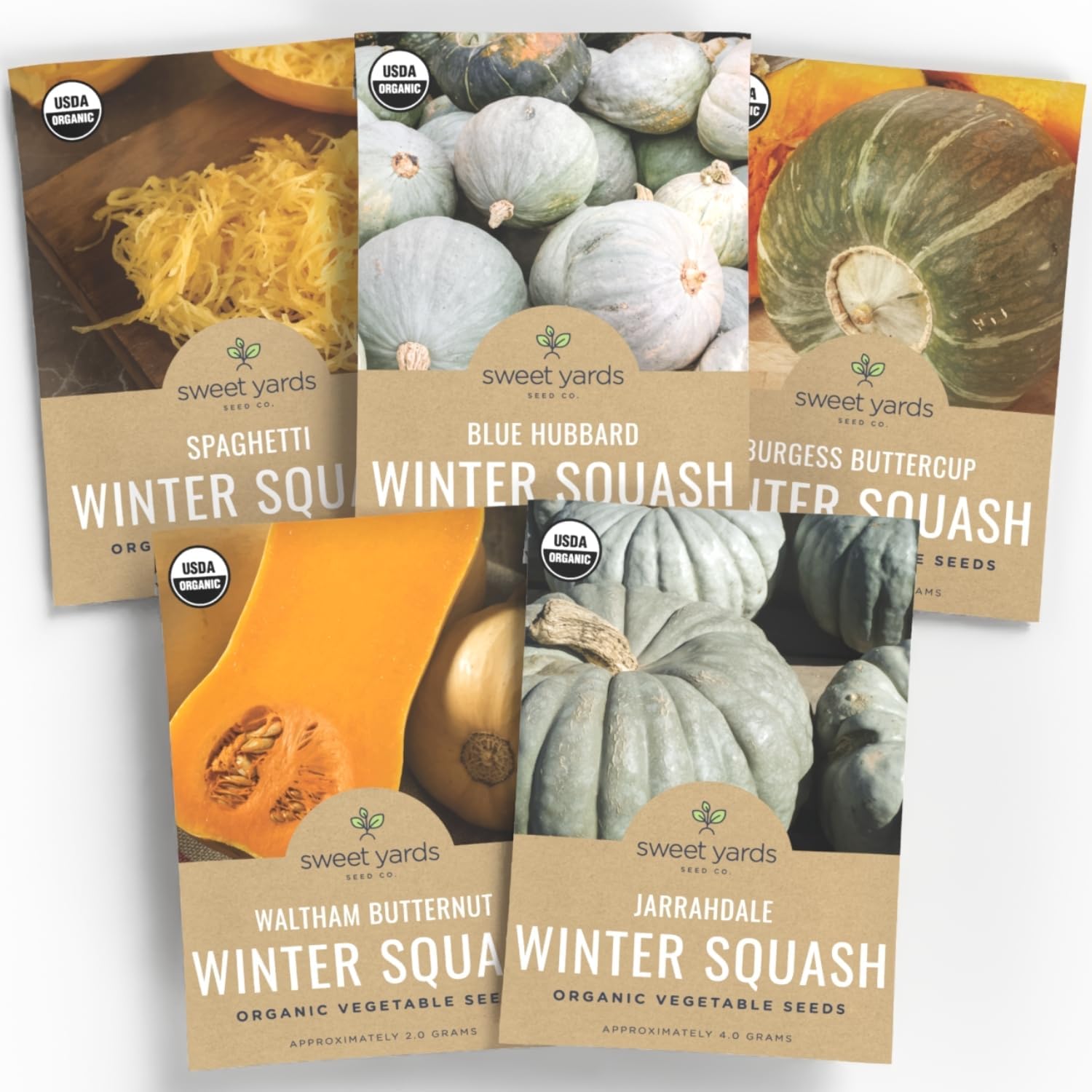 Amazon.com : 30 Butternut Winter Squash Seeds for Planting Non GMO ...
