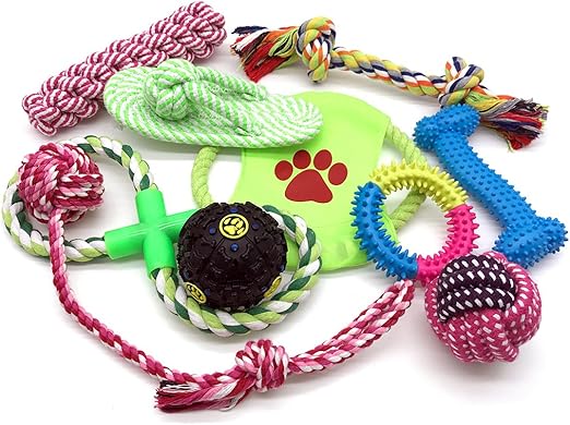 Pet Supplies : Sishi Pet Dog Toys 10 Pack Gift Set, Variety Puppy Toys ...