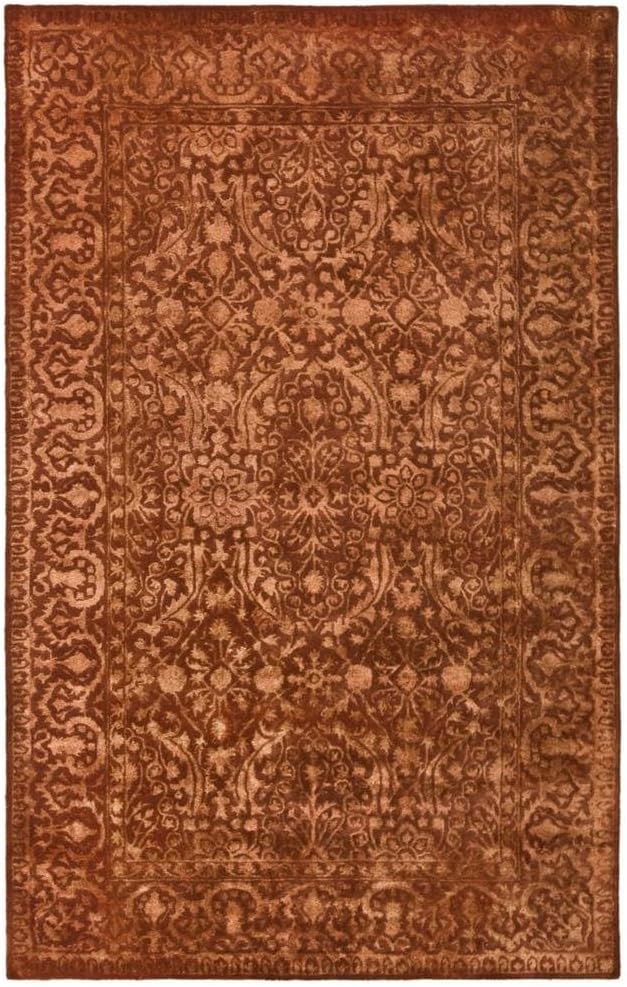 Amazon.com: Safavieh Light & Dark Rust Area Rug (2 ft. 6 in. x 4 ft ...