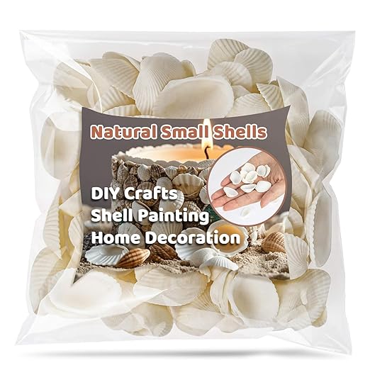 Amazon.com: MAQIHAN 90 PCS White Sea Shells - 0.8-1.2 in Small Clam ...