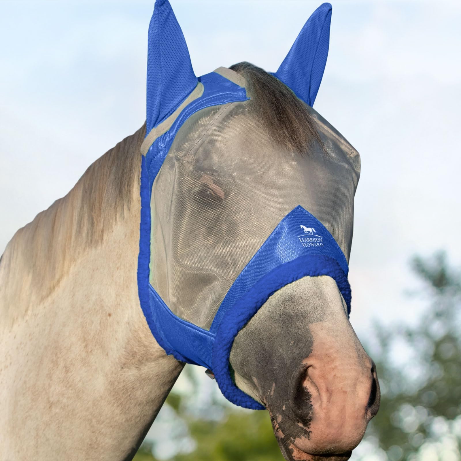 Amazon.com: Harrison Howard CareMaster Horse Fly Mask UV Protective ...