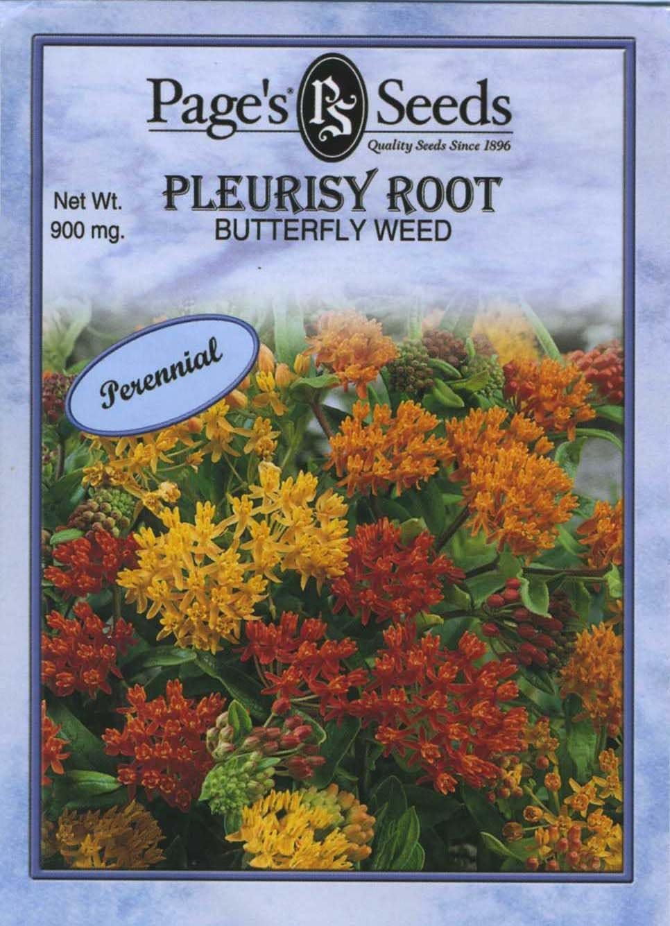 Amazon.com : Butterfly Weed, Pleurisy Root : Flowering Plants : Patio ...