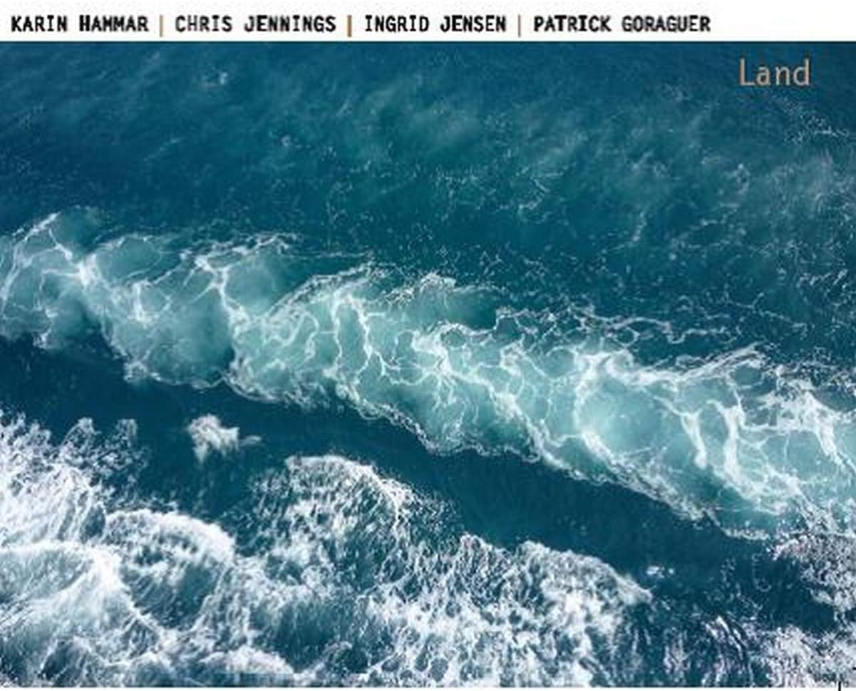 Land: HAMMAR,KARIN & CHRIS JEN: Amazon.ca: Music
