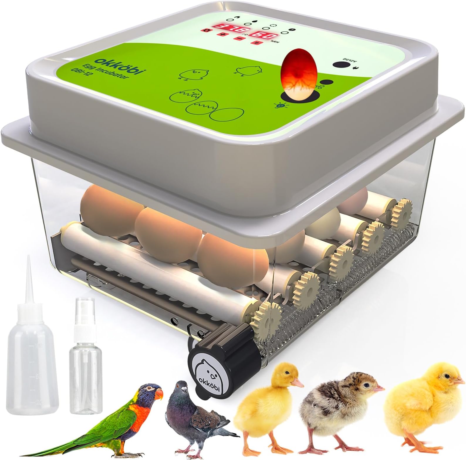 Okköbi OBI-12 Egg Incubator for Hatching Chickens, Ducks & Other Birds ...