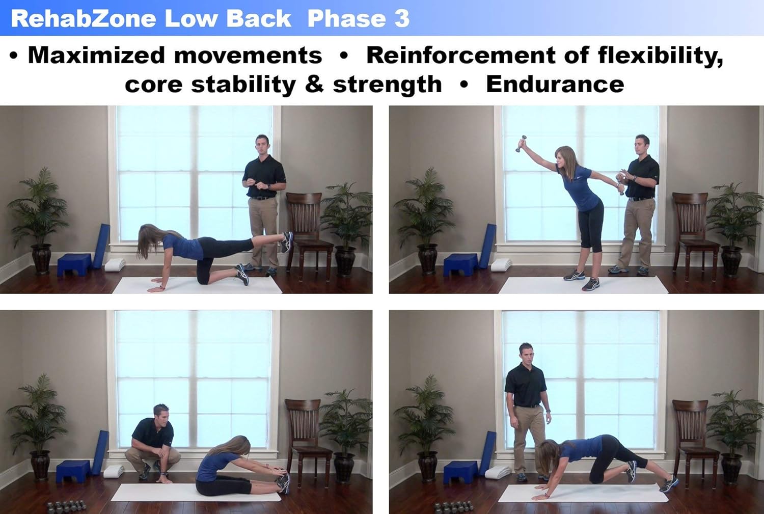 RehabZone Low Back Pain and Core Exercise Plan: Thailand | Ubuy