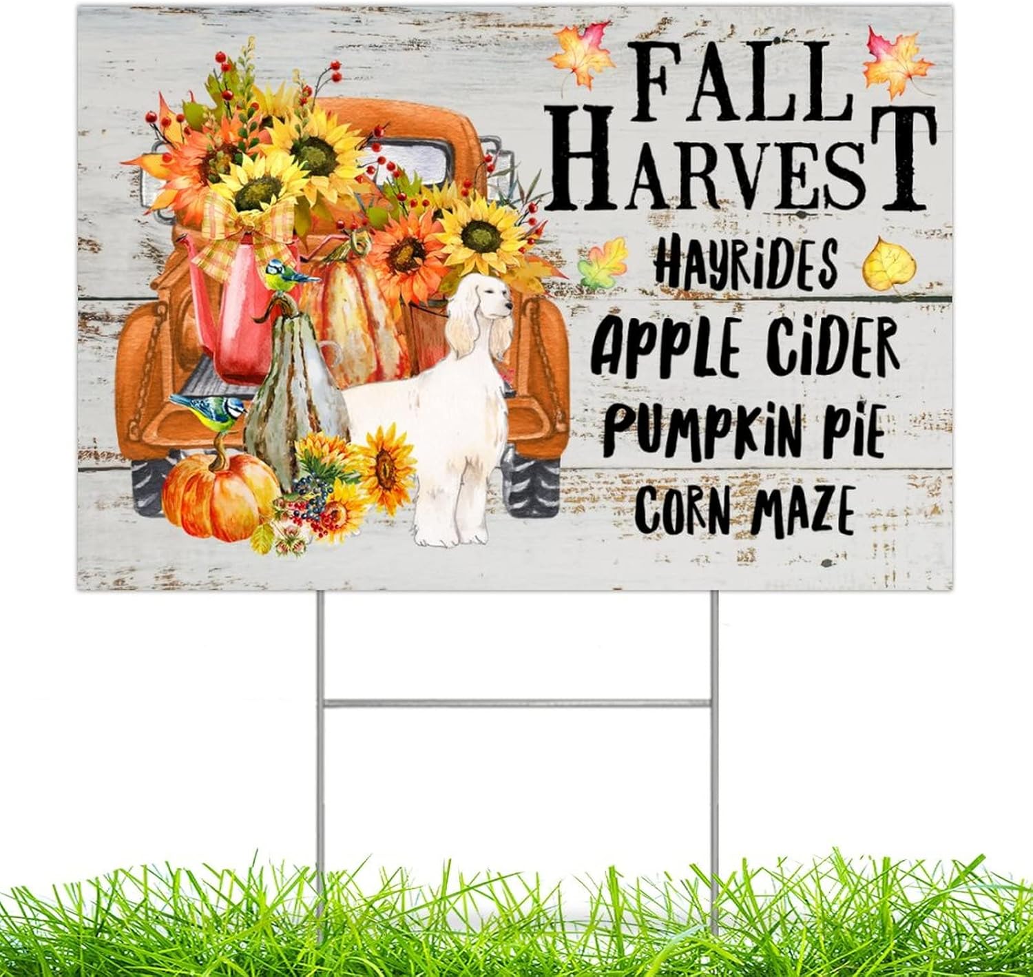 Amazon.com: Dalmatians Dog Yard Signs with Stakes Thanksgiving Pumpkin ...