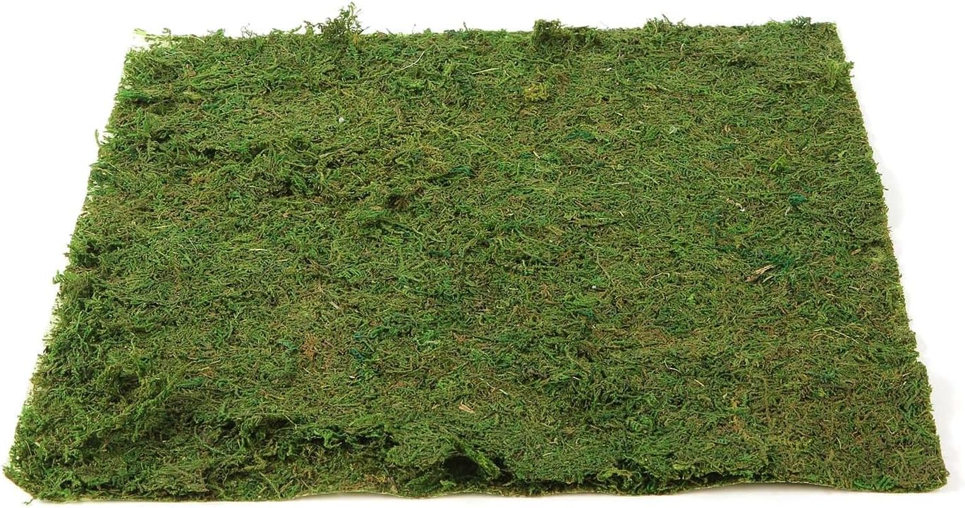 Amazon.com: Efavormart 18" x 16" Preserved Natural Moss Roll Faux Green ...