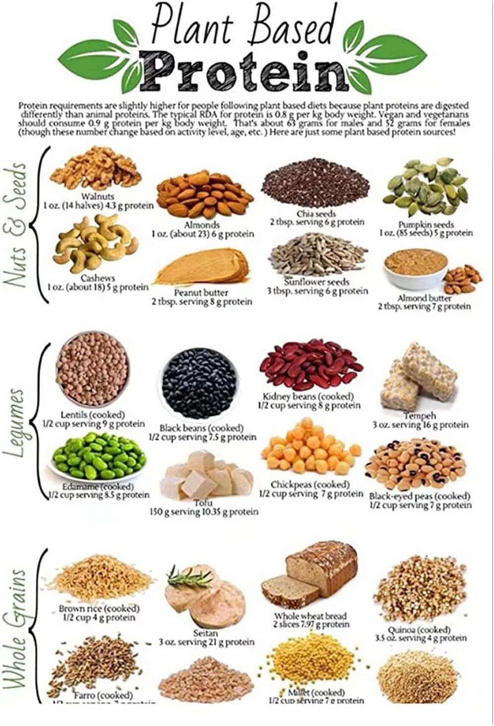 Oudrspo Plant Based Protein Infographics Metal Tin Signs Nutritionist ...