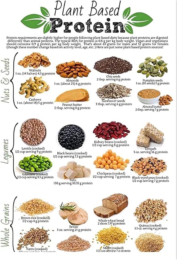 Oudrspo Plant Based Protein Infographics Metal Tin Signs Nutritionist ...
